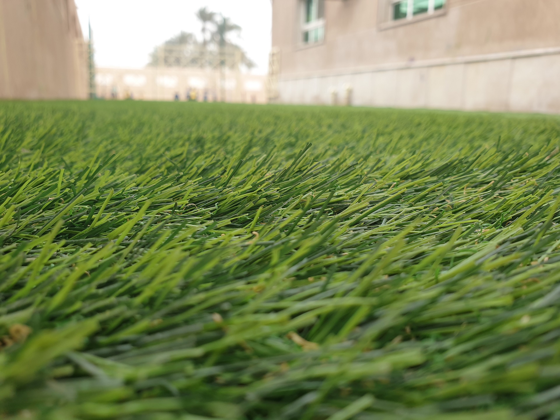 نجيل صناعي - جول سبورت اكبر شركه نجيل صناعى فى مصر و العالم العربى